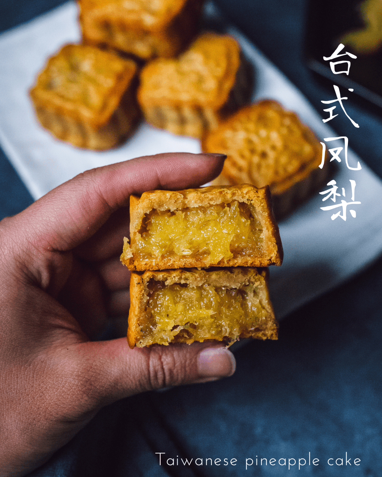 Ultimate Guide to Vegan Mooncakes (6 ways!) 純素月餅
